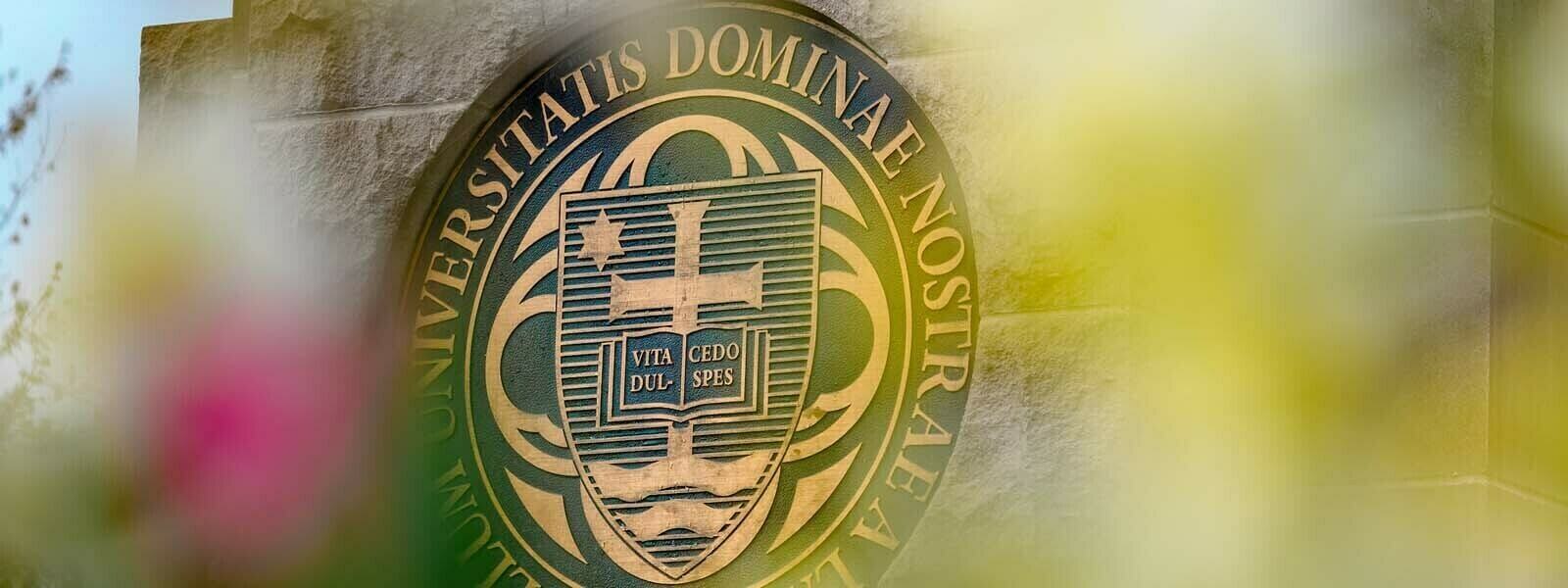 Notre Dame Board of Trustees’ Task Force Report on Diversity, Equity, and Inclusion | Surveys ...